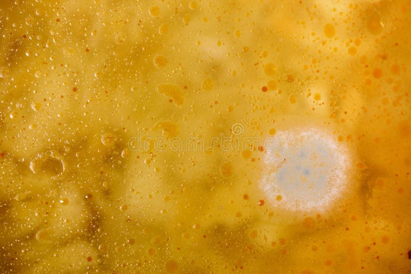 Mold Colonies Growing on Chicken Noodle Soup Stock Photo - Image of ...