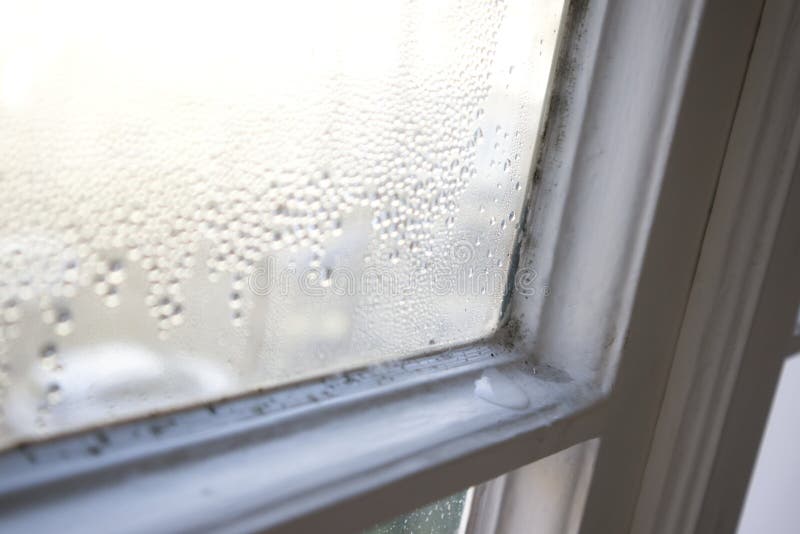 Mold and Condensation on Windows Close-up Stock Photo - Image of ...