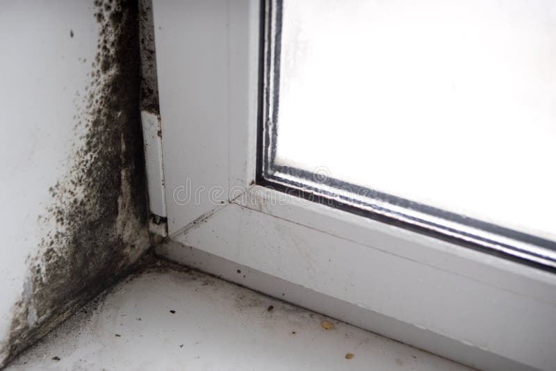 Mold in the Corner of the Window Stock Image - Image of dirty, allergy ...