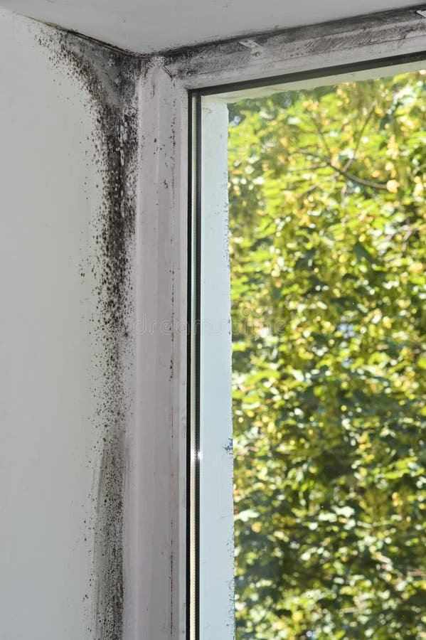 Mold Around Panel Radiator on Wall in Room Stock Photo - Image of house ...