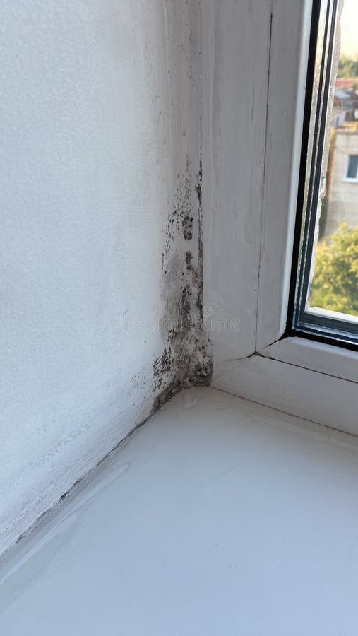 Mold in the Corner of the Plastic Windows Stock Image - Image of ...