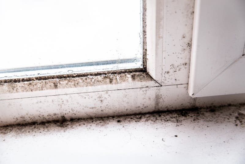 Mold in the Corner of the Window Stock Photo - Image of cleaning ...
