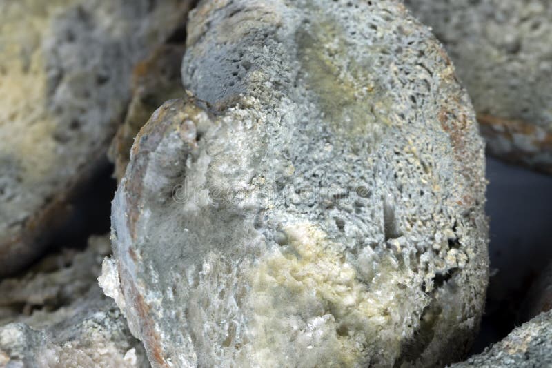 Completely Spoiled and Mold-covered Bread on the Table Stock Photo ...