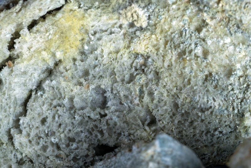 Completely Spoiled and Mold-covered Bread on the Table Stock Image ...