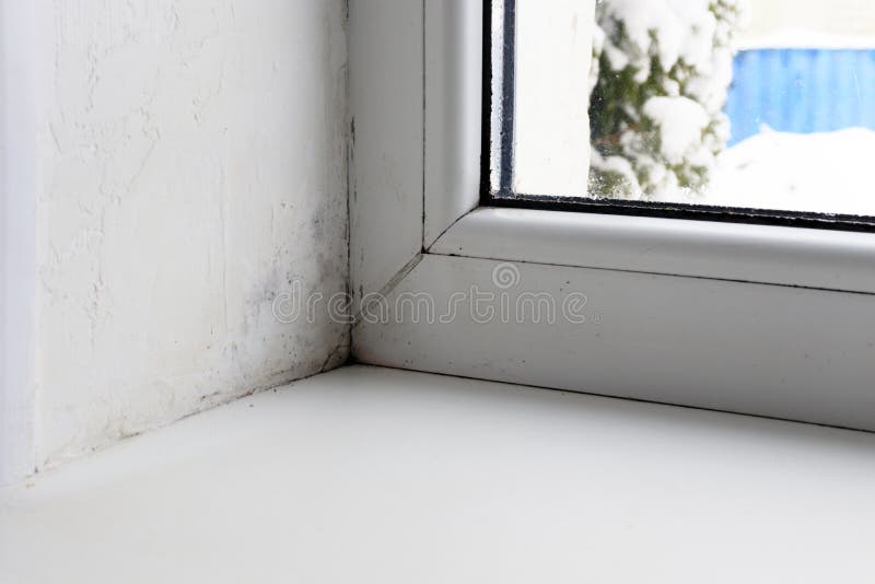 Mold and Dampness in the Corner of the Plastic Window. Fungus in the ...