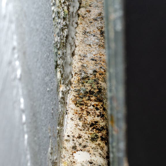 Mold and Dirt between Wall and Window Stock Image - Image of rusty ...