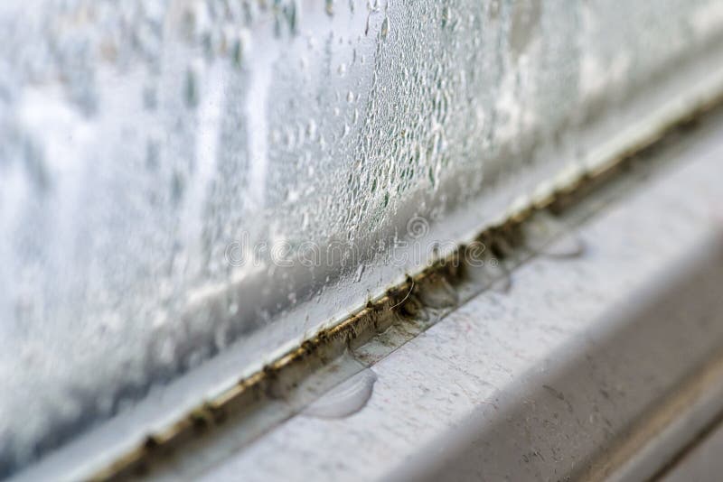 Mold and Dirt on the Corner of Wall Stock Image - Image of unhygienic ...