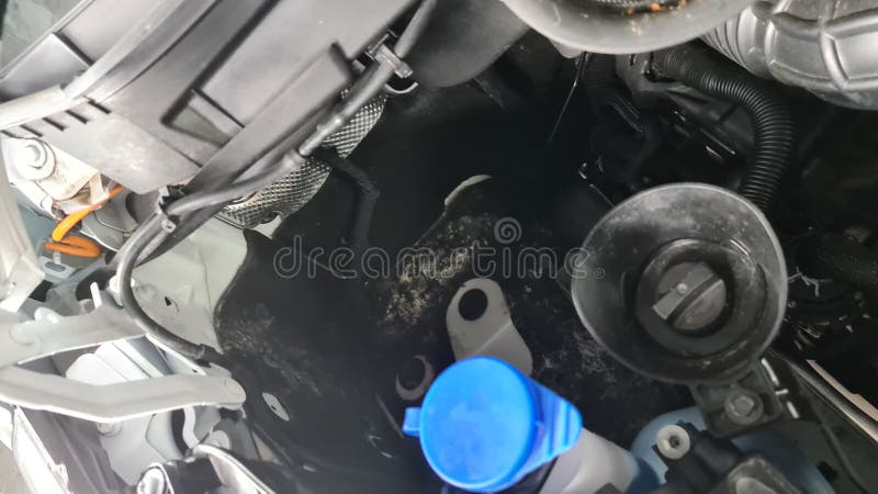 Mold in the Engine Compartment of an RV Stock Image - Image of energy ...