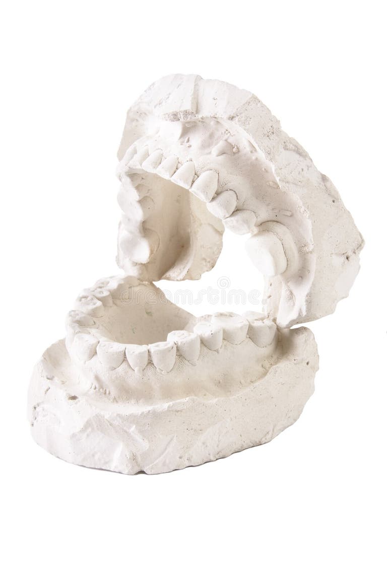 619 Full Medical Human Model Stock Photos - Free & Royalty-Free Stock ...