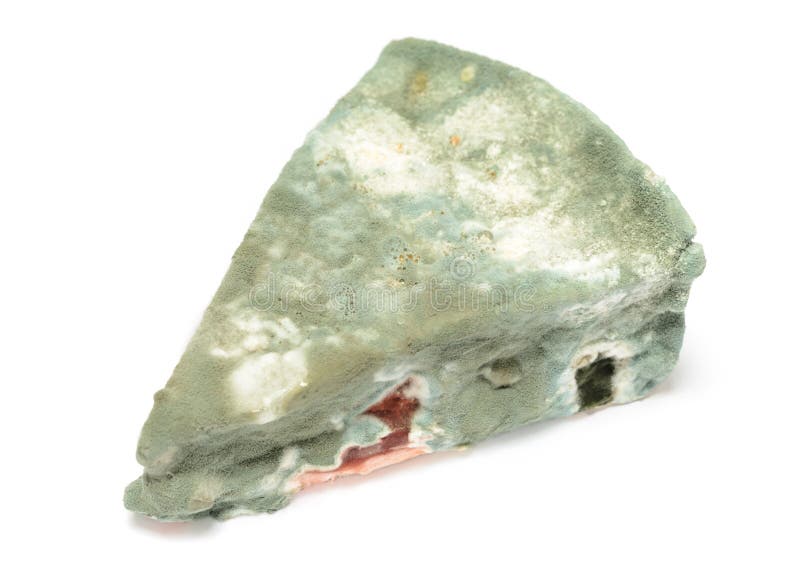 272 Rotten Cake Stock Photos - Free & Royalty-Free Stock Photos from ...