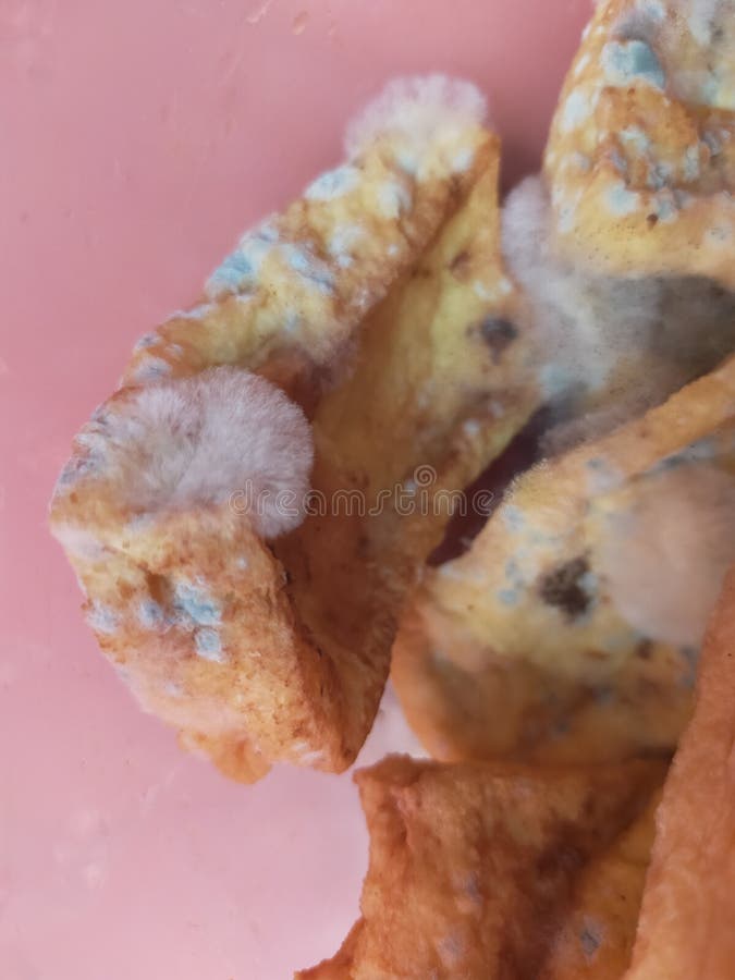 Mold that Grows on the Surface of Food Stock Photo - Image of mold ...