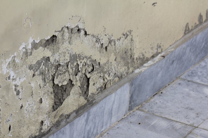 Wall Mold Growth and Water Damage Stock Image - Image of carving, floor ...
