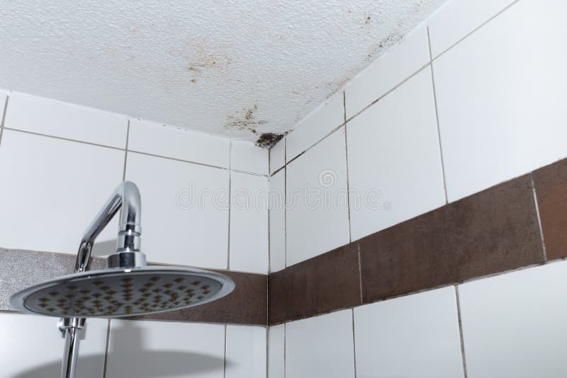 Mold in the House, Ceiling Moisture and Moist Wall in Bathroom Stock ...