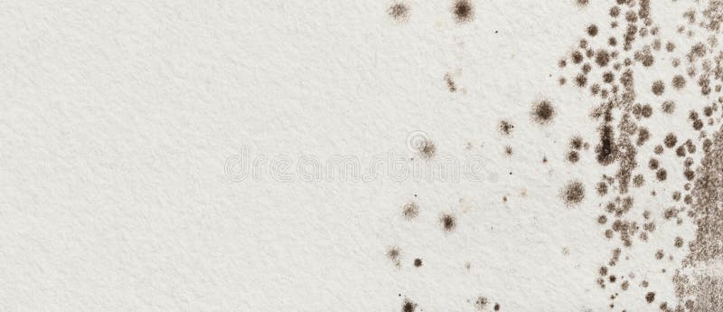 Mold Infested Wall, Banner, Background. Concept of the Problem of Mold ...