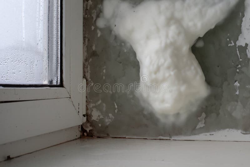 Mold on the Inner Wall of the Window in the House. Stock Image - Image ...