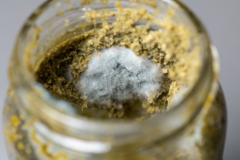 Spoiled Pesto Stock Photos - Free & Royalty-Free Stock Photos from ...