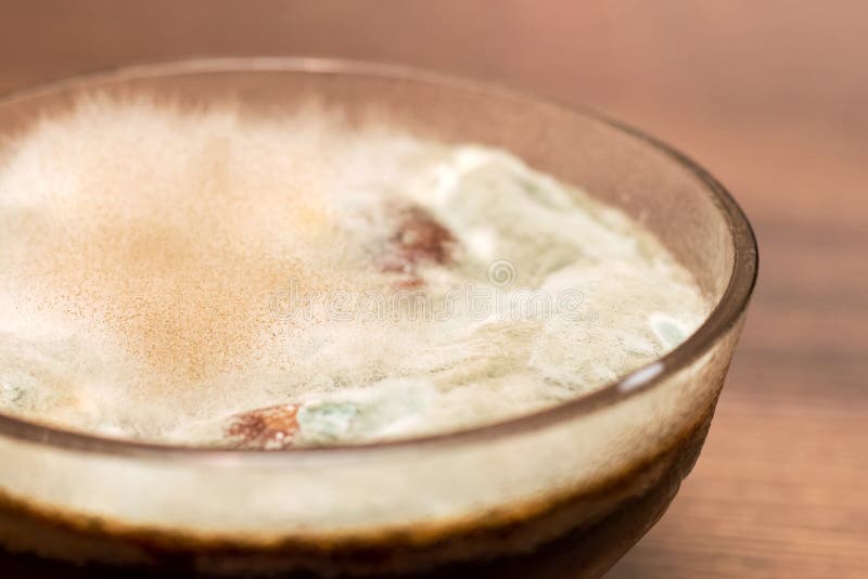 Mold on Jam in a Glass Plate. Moldy Food in the Plate Stock Image ...