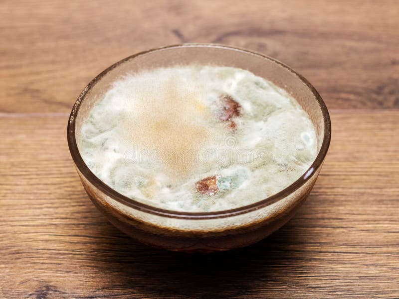 Mold on Jam in a Glass Plate. Moldy Food in the Plate Stock Photo ...