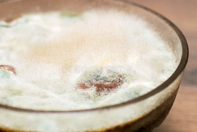 Mold on Jam in a Glass Plate. Moldy Food in the Plate Stock Image ...