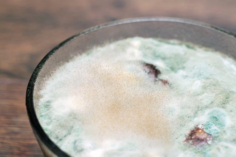 Mold on Jam in a Glass Plate. Moldy Food in the Plate Stock Photo ...