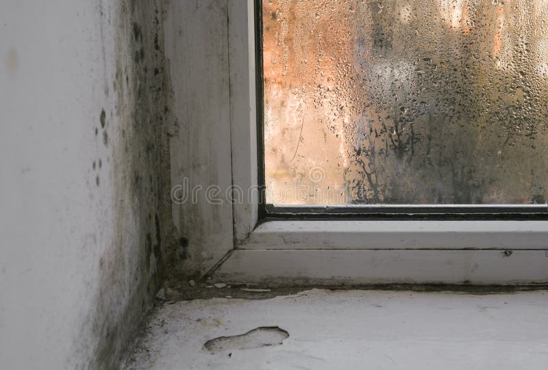 Mold and Mildew Appear on a Wet Window Stock Image - Image of dampness ...