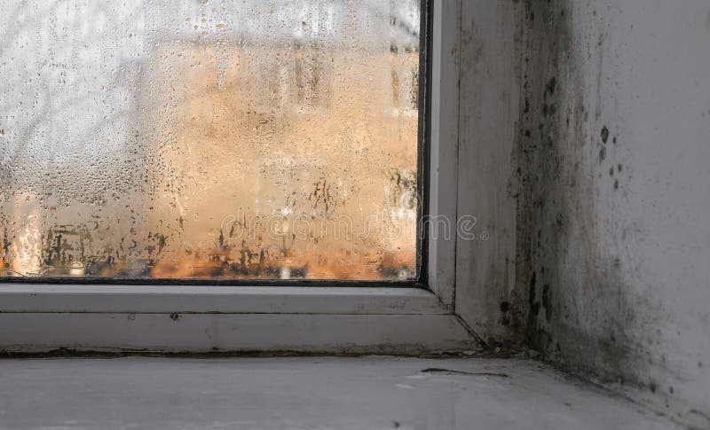Mold and Mildew Appear on the Window Stock Photo - Image of house, mold ...