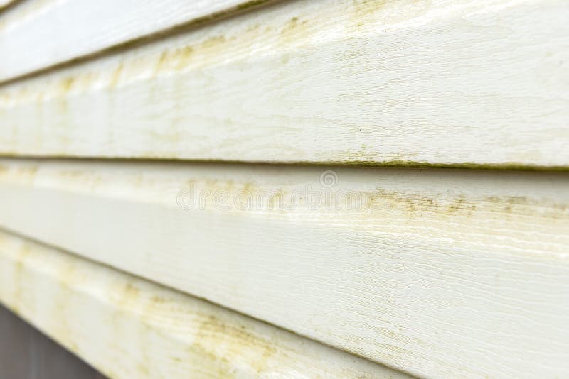 Mold and Mildew on the Siding Wall Stock Photo - Image of outside ...