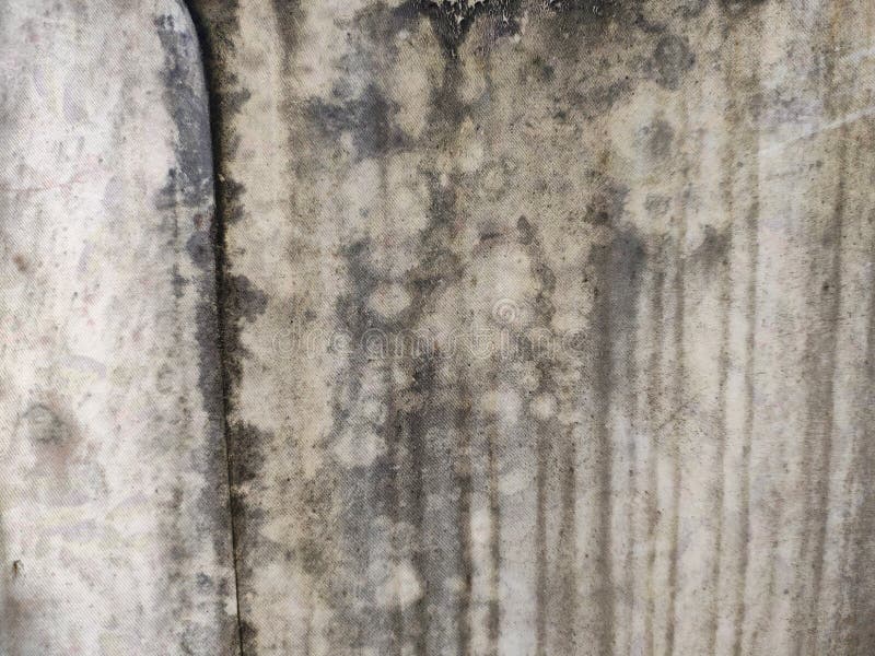 Mold and Mildew Stains on Wallpaper Stock Photo - Image of mold, messy ...