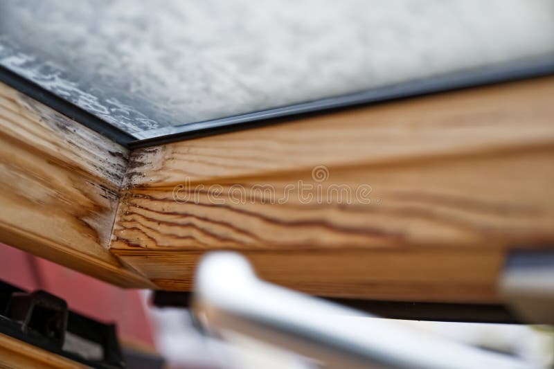 Mold Moisture Damage Wooden Window Frame Stock Photos - Free & Royalty ...