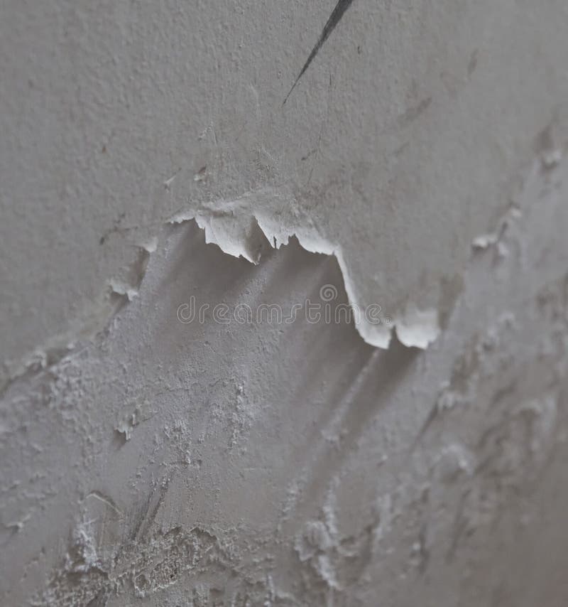Mold Molded Due To Moisture, Moisture and Paint Spill, Mold and ...