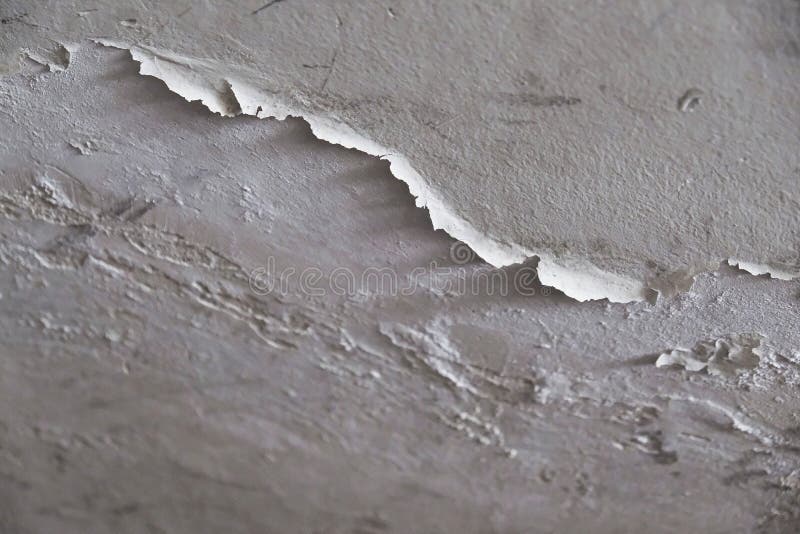 Mold Molded Due To Moisture, Moisture and Paint Spill, Mold and ...