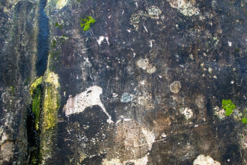 Mold, Moss and Dampness on the Wall, Old Peeling Paint Wall Background ...