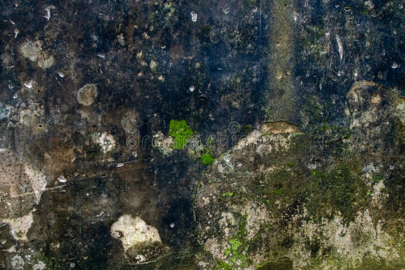 Mold, Moss and Dampness on the Wall, Old Peeling Paint Wall Background ...