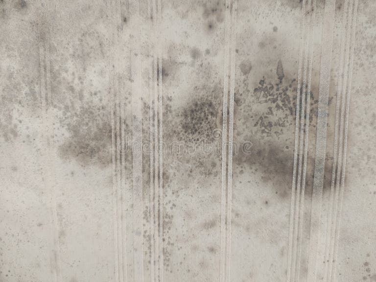 Mold on Old Patterned Wallpaper Stock Photo - Image of indoor, wall ...