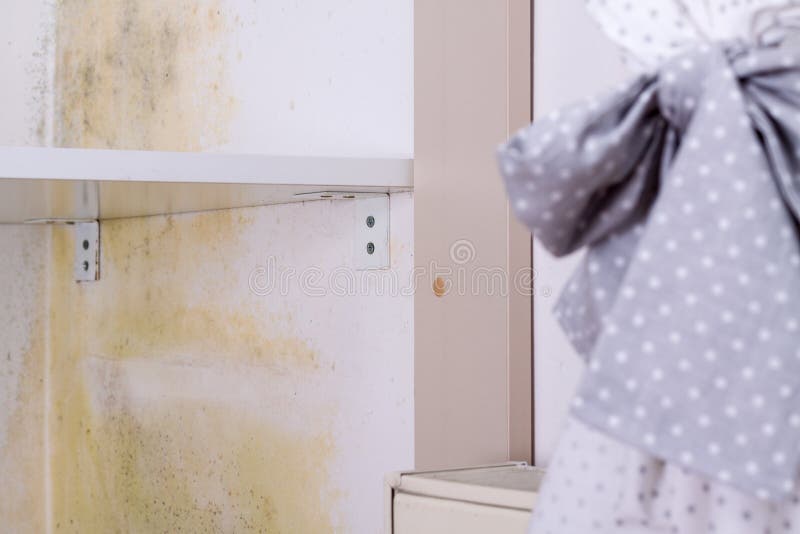 Mold problem in home. stock image. Image of messy, crown - 85117505