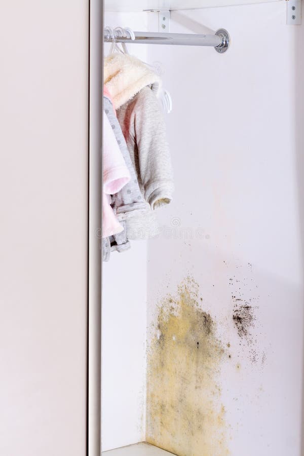 Mold problem in home. stock photo. Image of mould, messy - 85120834