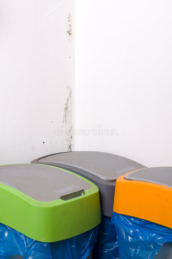 Mold problem in home. stock image. Image of rubbish, mould - 85096977