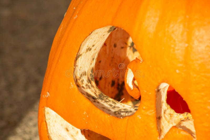 Mold on pumpkin stock photo. Image of vine, smash, product - 178014692