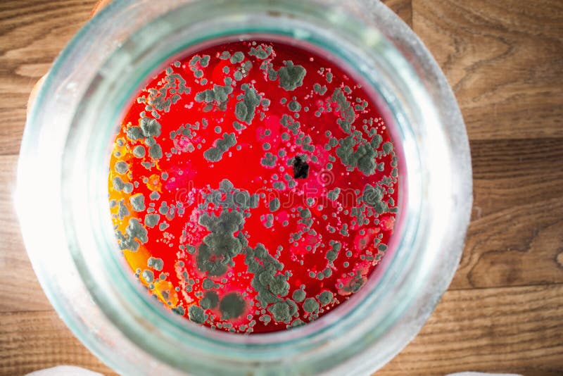 Mold on red juice in a jar stock photo. Image of microbiology - 111830434