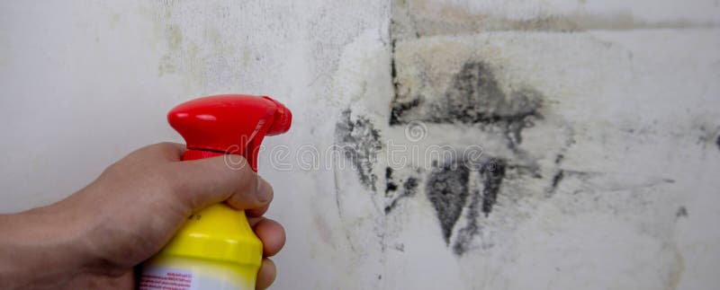 Mold Removal Spray on Wall stock photo. Image of detergent - 356325990