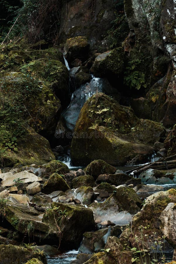 Mold on Rocks Near Flowing Brook Stock Photo - Image of nature, mold ...
