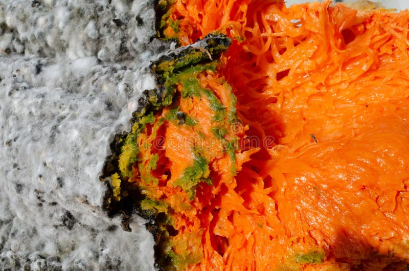 Mold on a Rotten Pumpkin. Bright Orange Pumpkin Close-up Stock Image ...