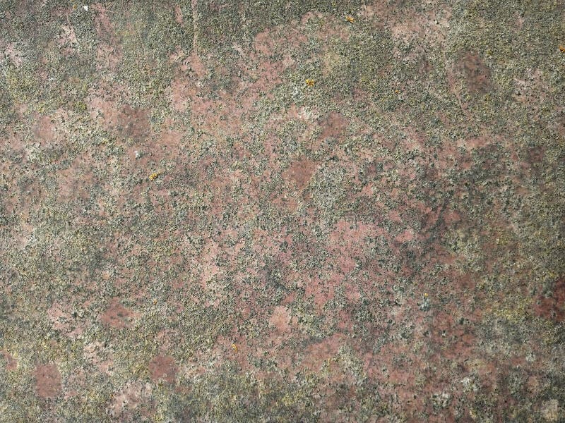 Mold and rust stock photo. Image of rusted, metal, green - 367063604