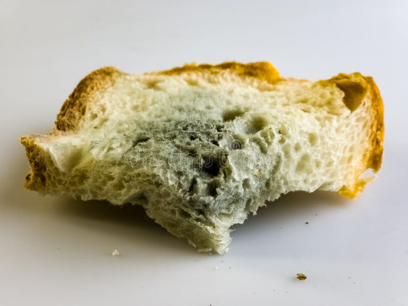 Mold on Stale Bread. the Surface of Moldy Bread. Spoiled Bread with ...
