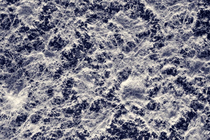 Mold under a microscope stock photo. Image of laboratory - 92667186