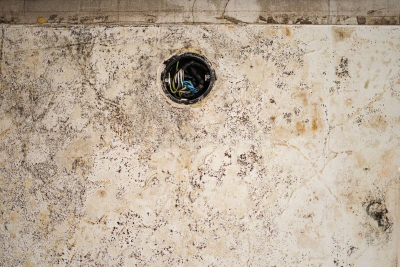 Mold Wall with Junction Box and Wires Stock Photo - Image of mildew ...