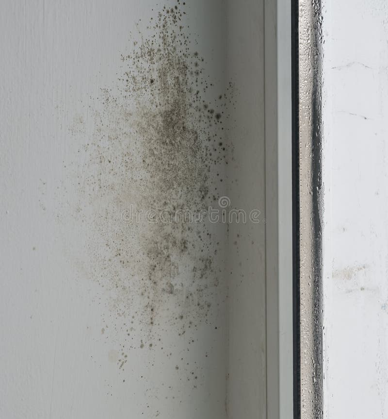 Mold on the Wall Near the Window Stock Photo - Image of unhygienic ...