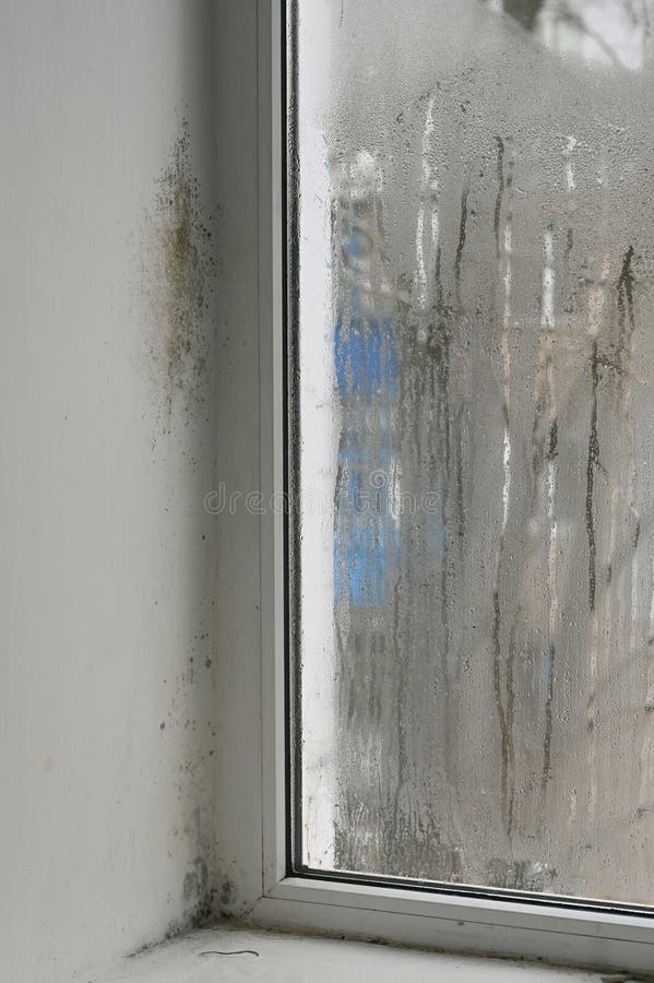 Black Mold in the Corner Near the Window. Stock Image - Image of ...
