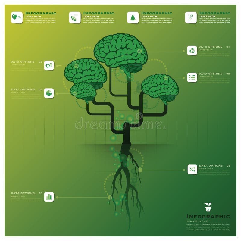 Molde Do Projeto De Brain Tree and Root Infographic Ilustração do Vetor ...