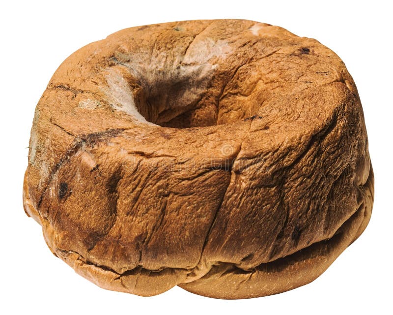 Hongo en el pan foto de archivo. Imagen de putrefacto - 9754520